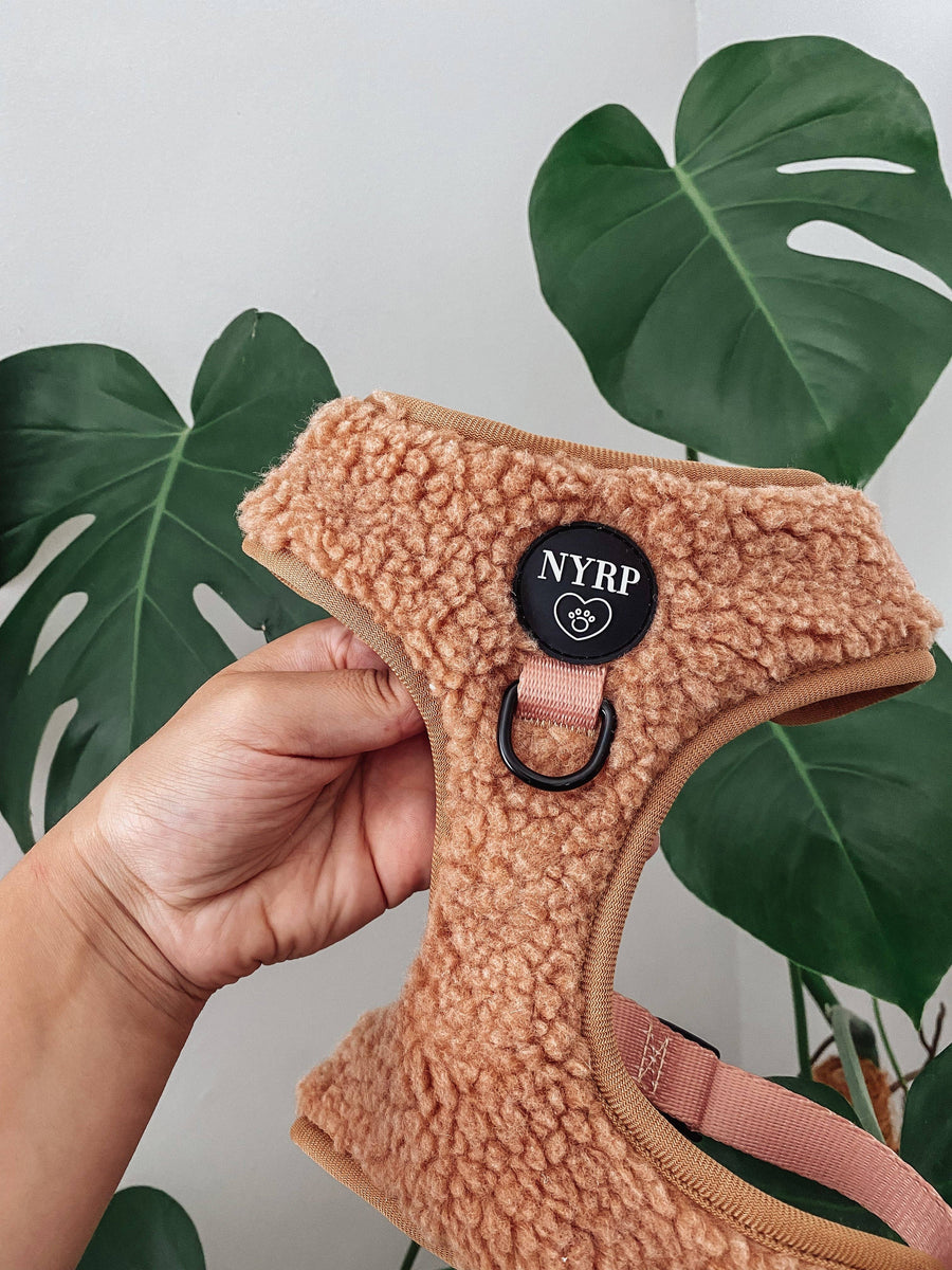 Brown Teddy Bear Harness – The Pet Store Victoria